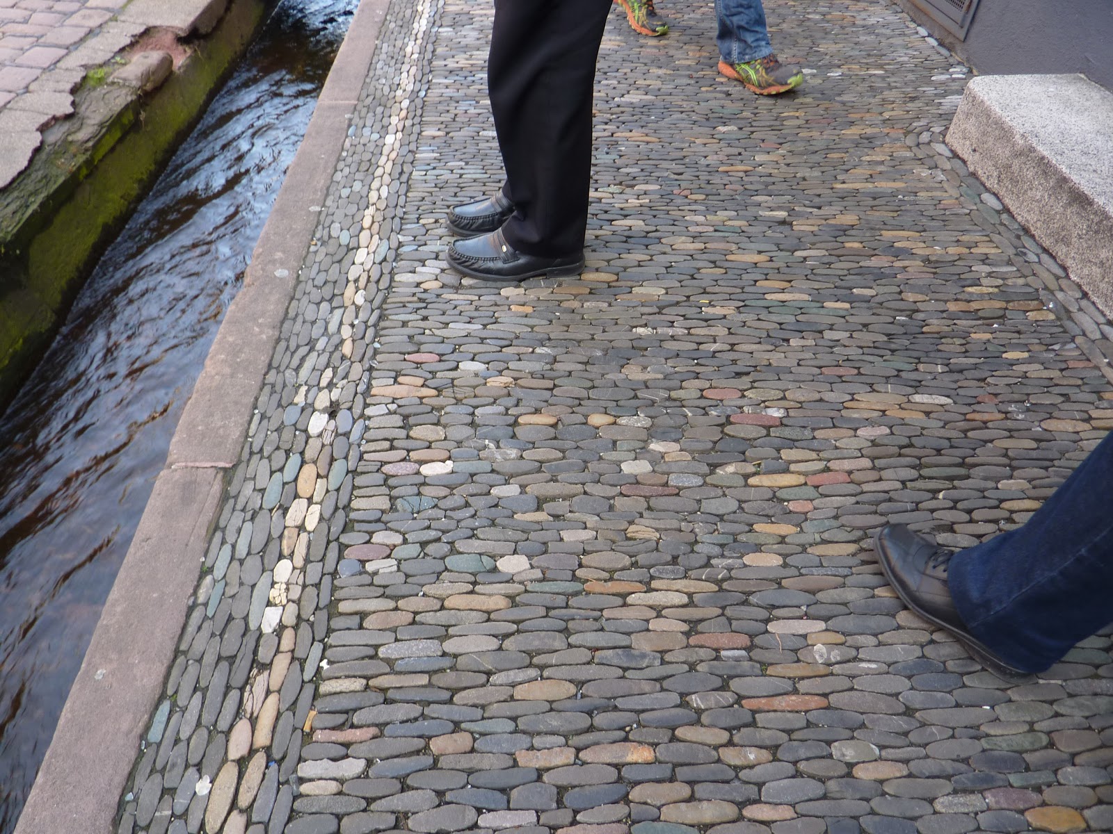 elämää luonnossa: Mikä kivi esti matkamme Liideniin?