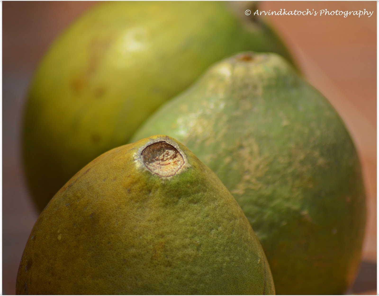 A Closeup Picture of Ripened Bael Fruits