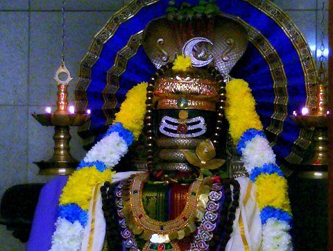 SRI'S NEWSLETTER: Different types of Pradosham and Benefits