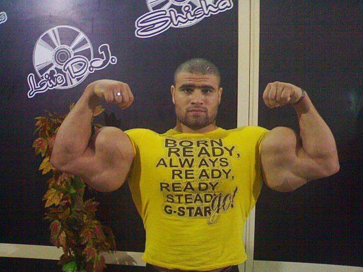 Body Synthol: 2014