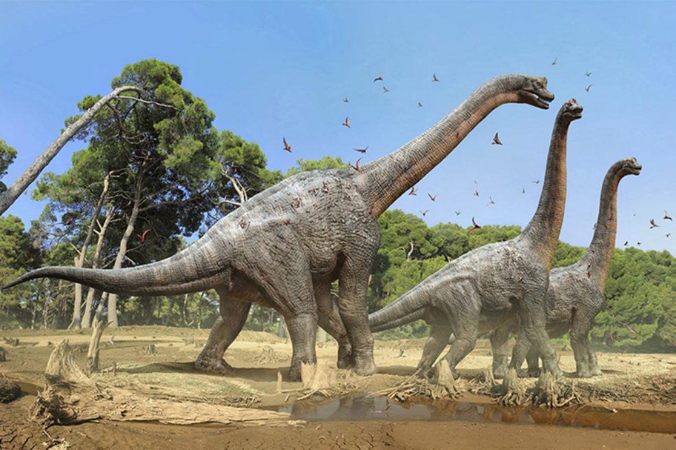 Fundacion Dinosaurios Cyl: Descubren nueva especie de dinosaurio en ...