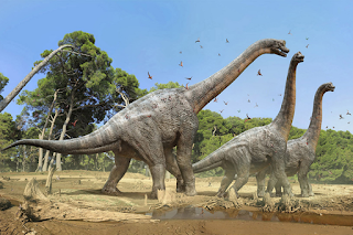 Fundacion Dinosaurios Cyl: Descubren nueva especie de dinosaurio en ...