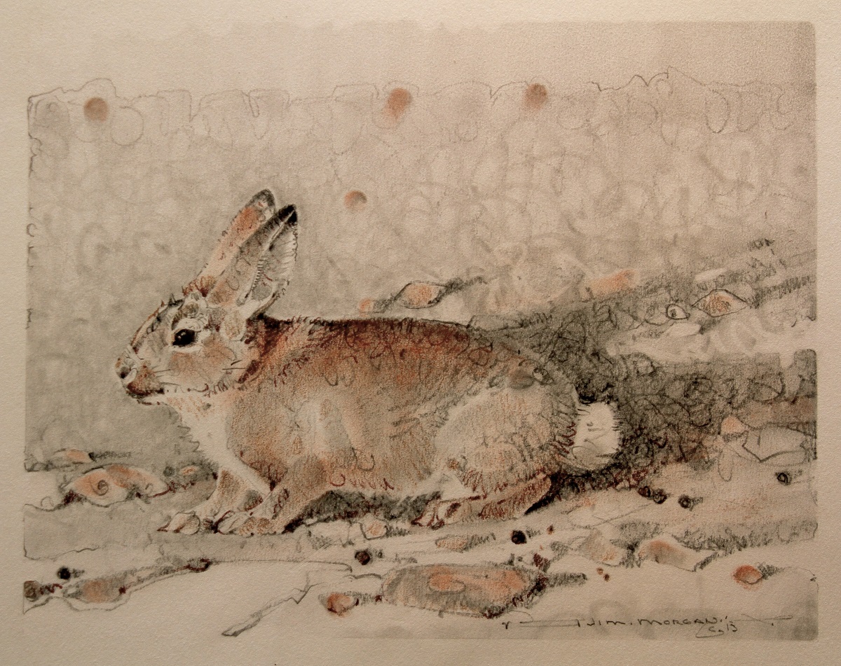 Jim Morgan Art: Current Works