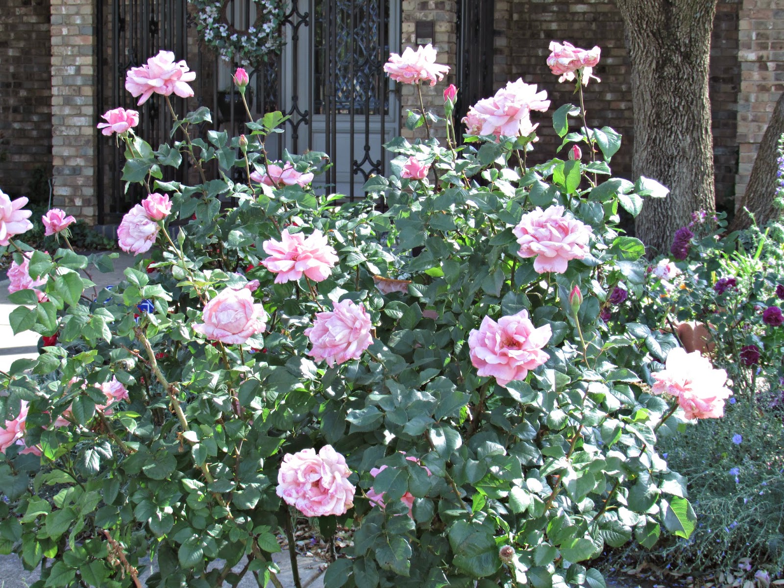 Penny's Vintage Home: Pretty Flower Beds