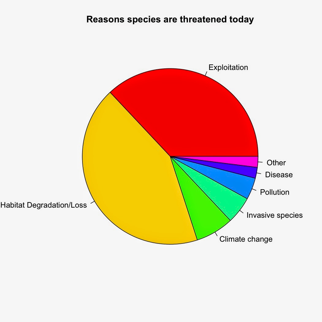 Extinction is forever