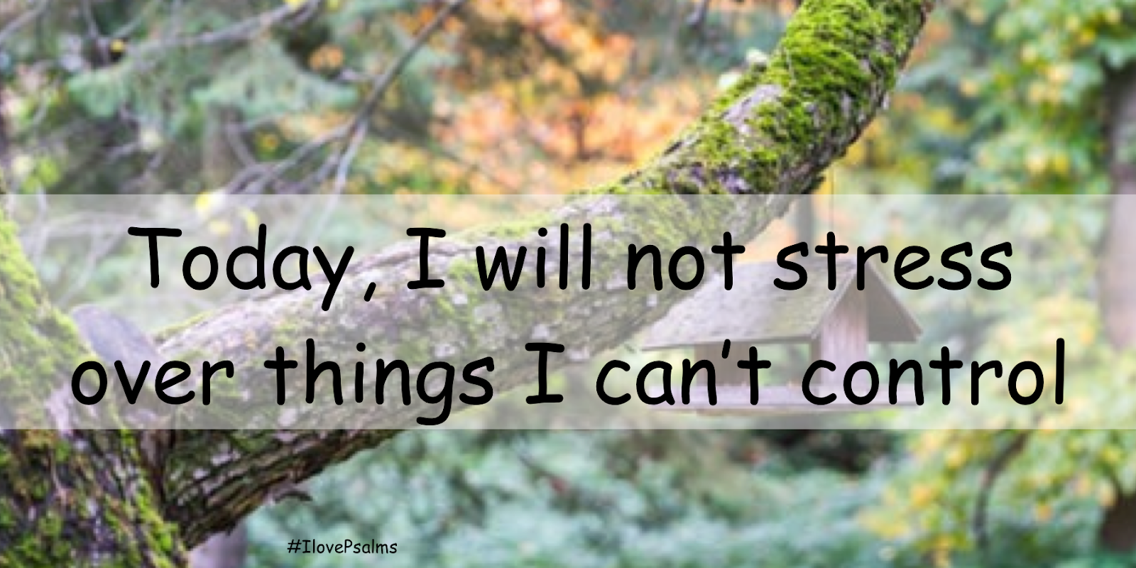 Stay Focused! - 4 Bible verses to stay focused