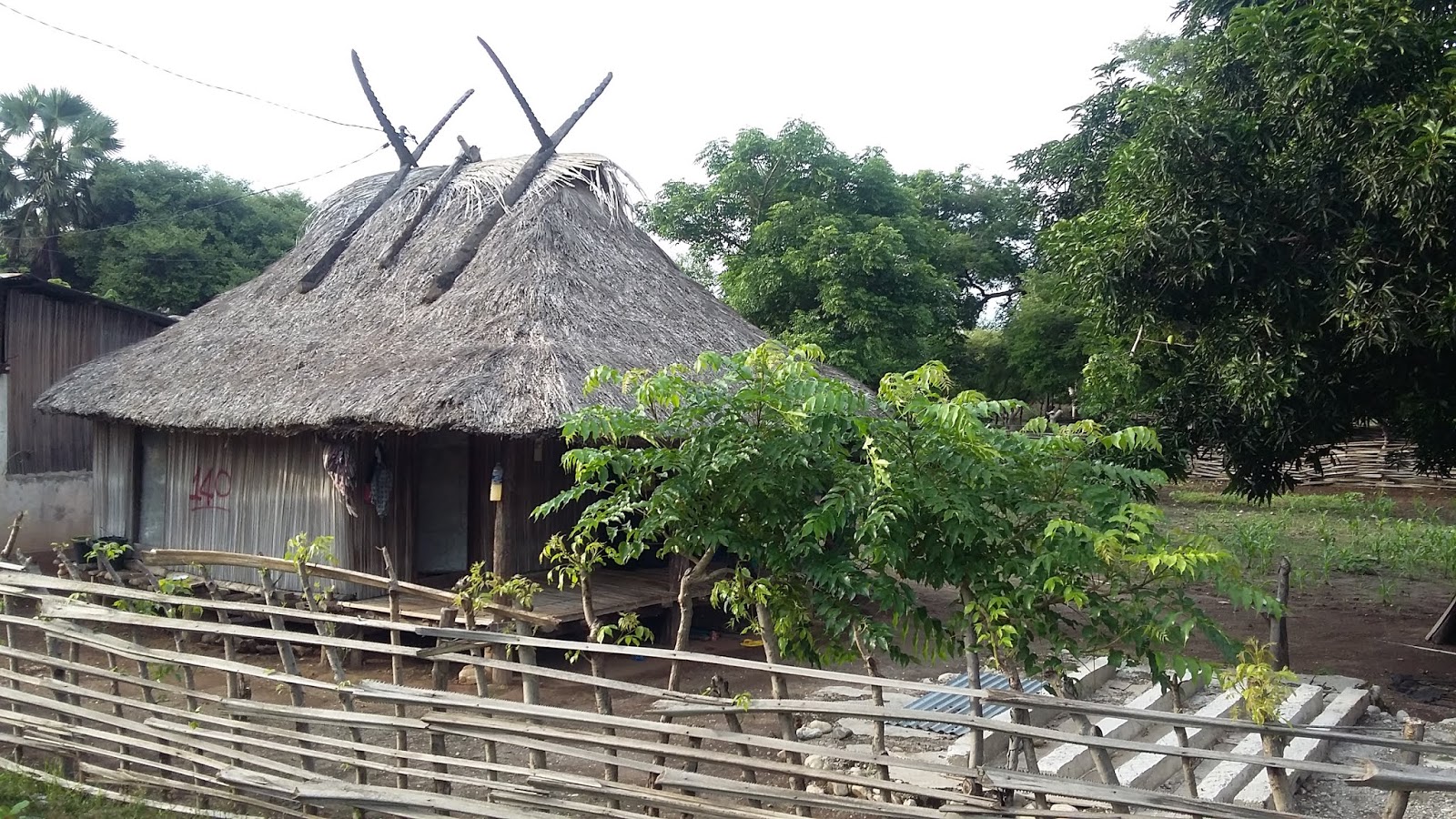 Impressões de Timor Leste: Casas típicas