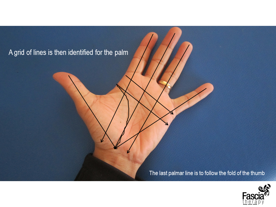 The Fascia Therapy Blog: Brain Exercises for Cerebral Palsy: Sensory ...