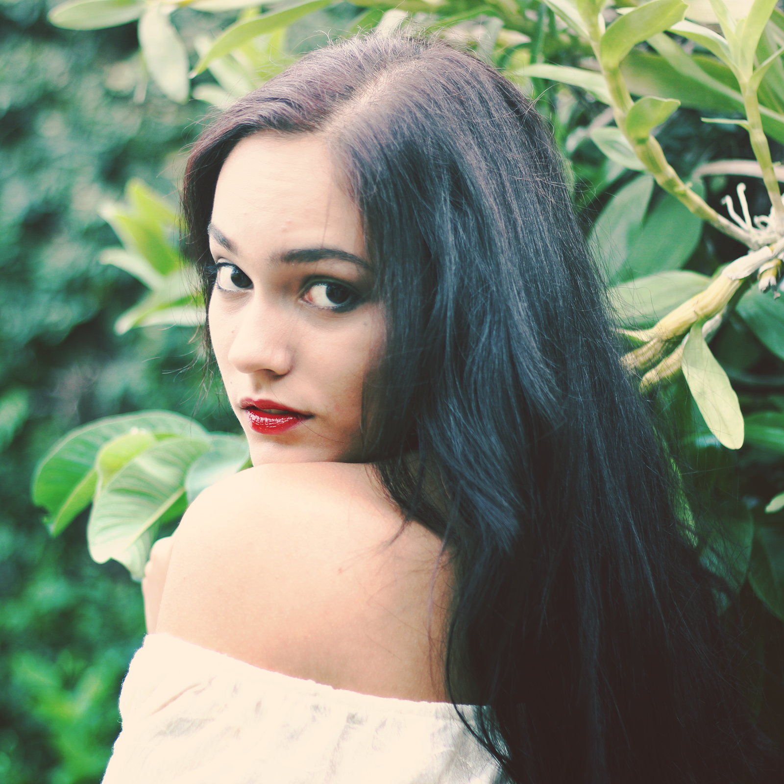 Maidy Design: Como funciona?