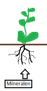 Voedselrelaties: Voedselkringloop