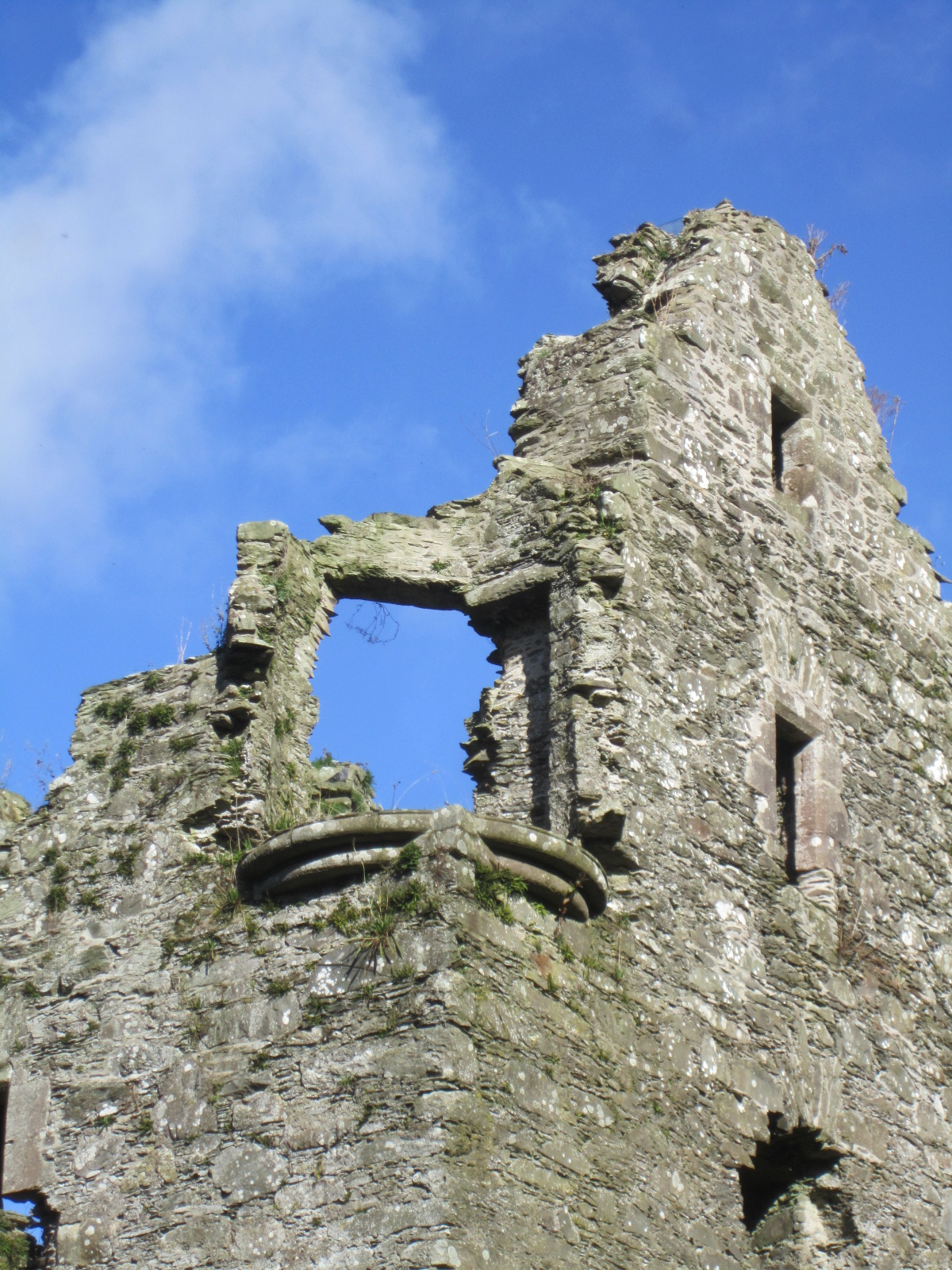 Gone Walkabout 2: Sorbie Tower of the Clan Hannay (Hanna)
