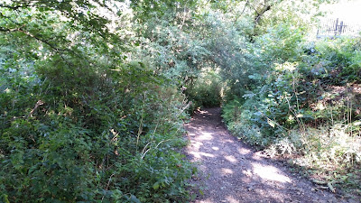 Gone for a walk....: Part 1, Welcombe Mouth to Morwenstow