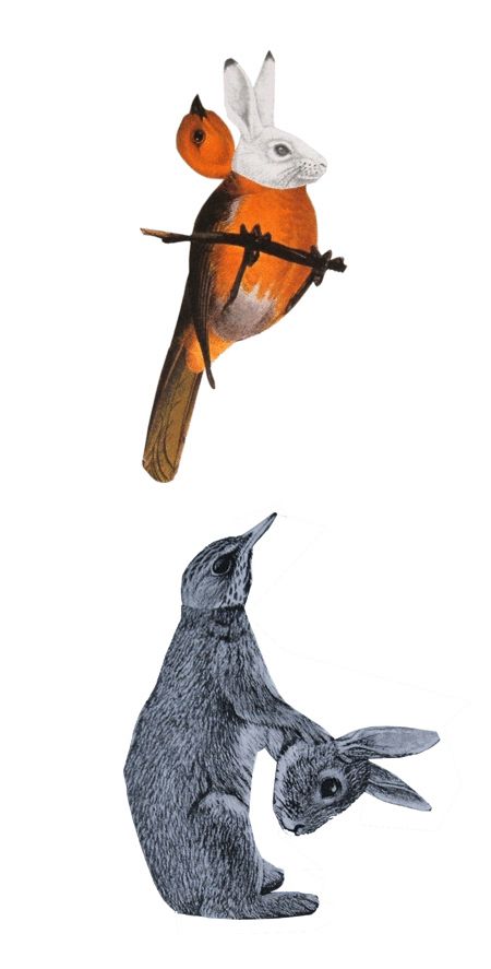 September's Rabbit in Argyle: Ides of October...Or Something Like That