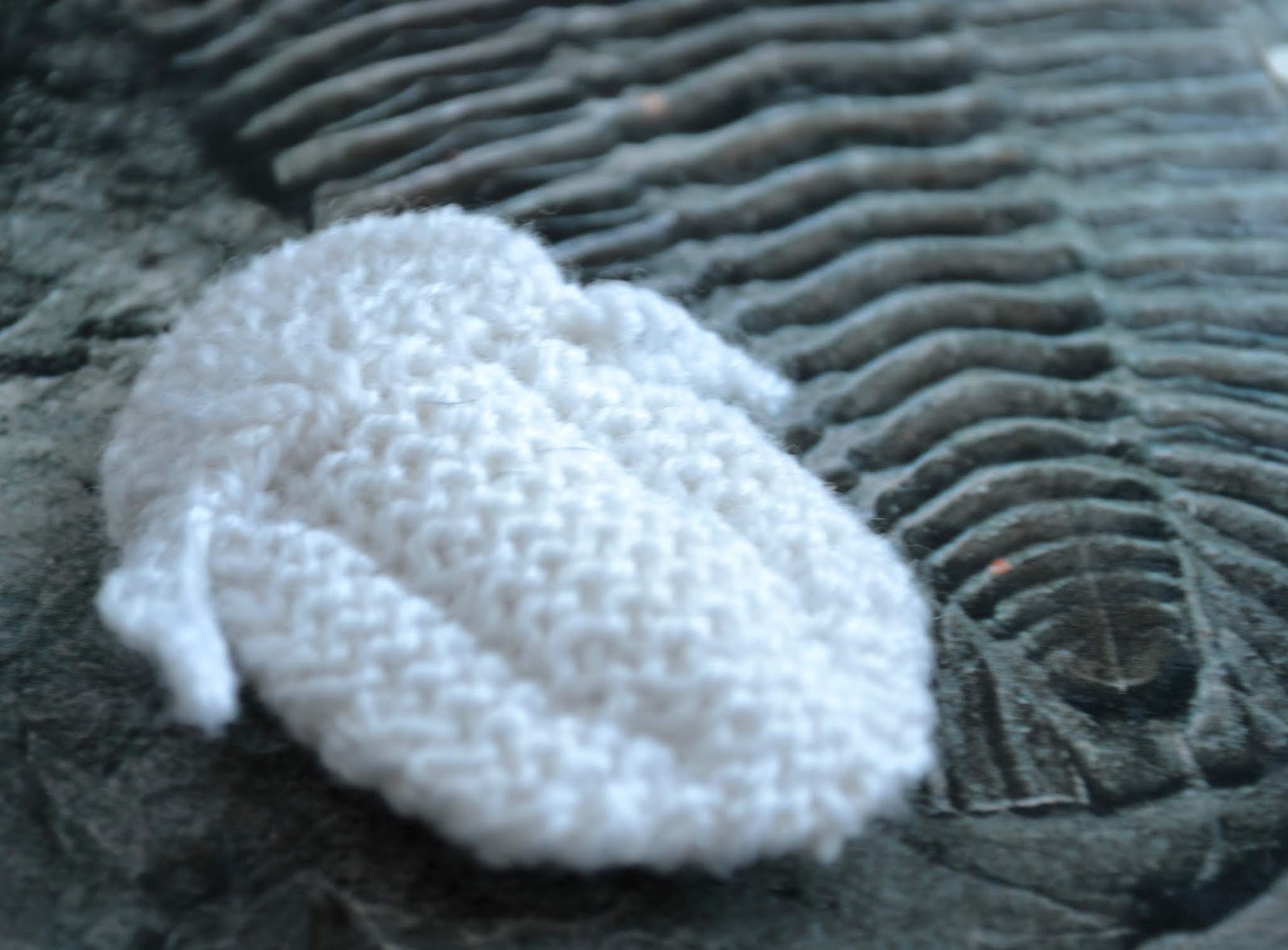 Ginx Craft : Trilobite