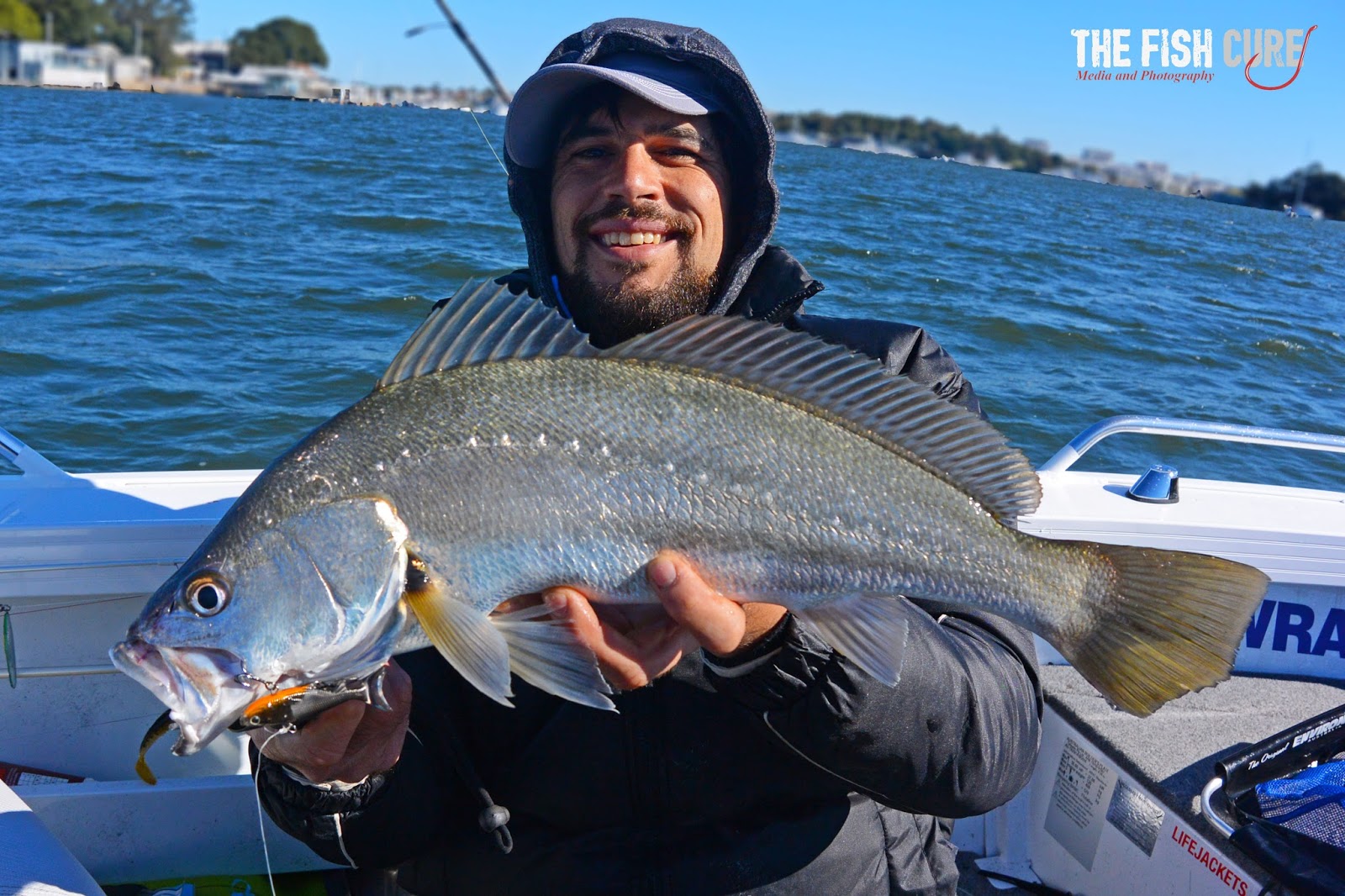 The Fish Cure: THE MULLOWAY CIRCLE