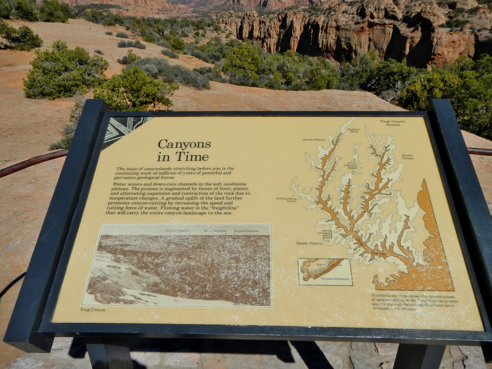 The Southwest Through Wide Brown Eyes: The Beauty of Navajo National ...