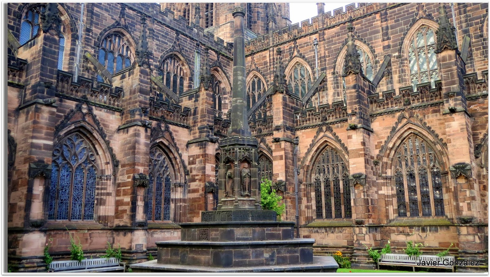 Las imágenes que yo veo: Chester