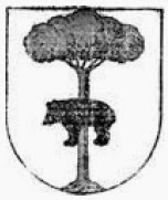 Heráldica en la Argentina: Escudo de San Francisco Javier