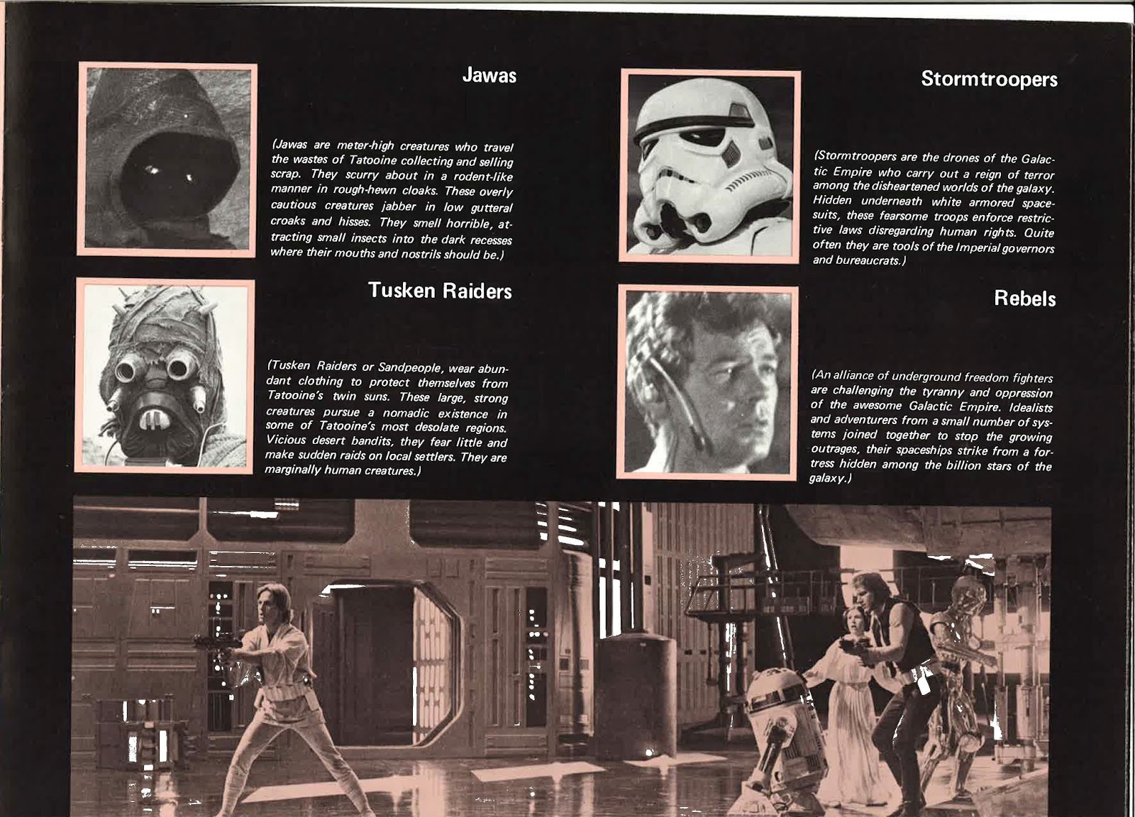 The March of the Twelve Backs: The 1977 "Star Wars" Movie Program