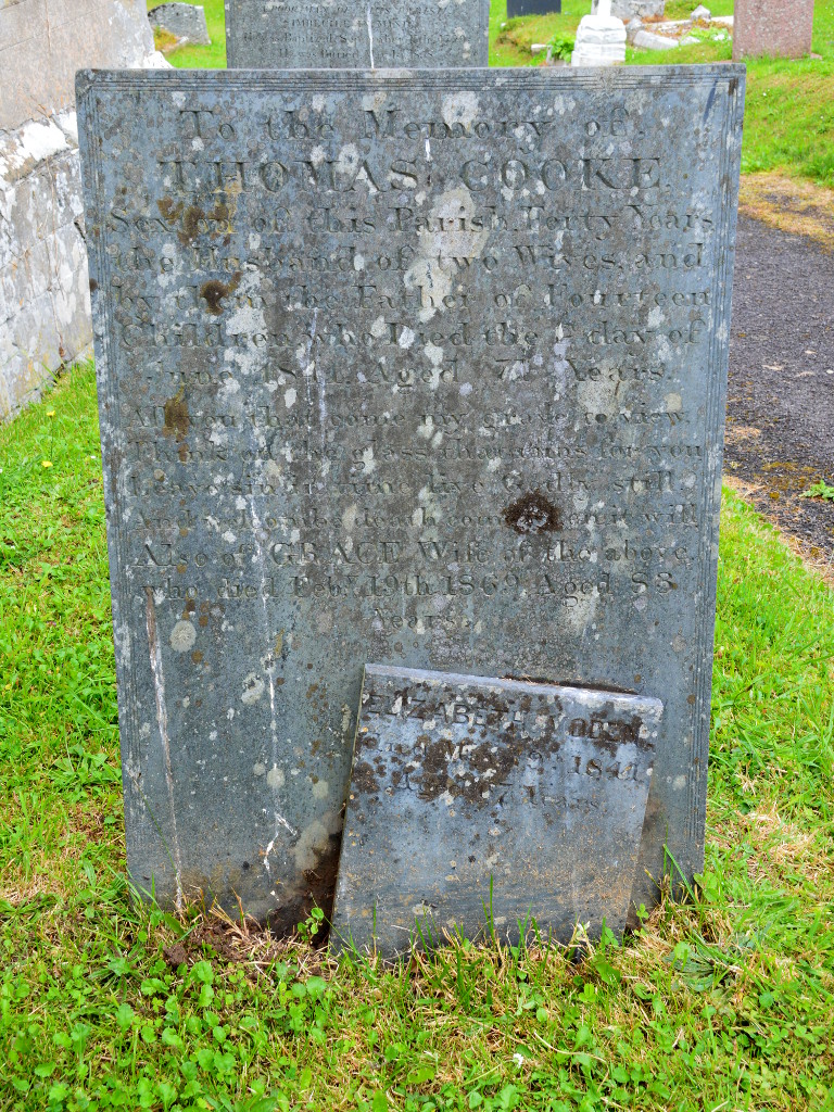 Stalking Dead People: 2016