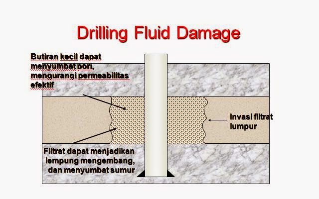 Migas Nusantara: Formation Damage