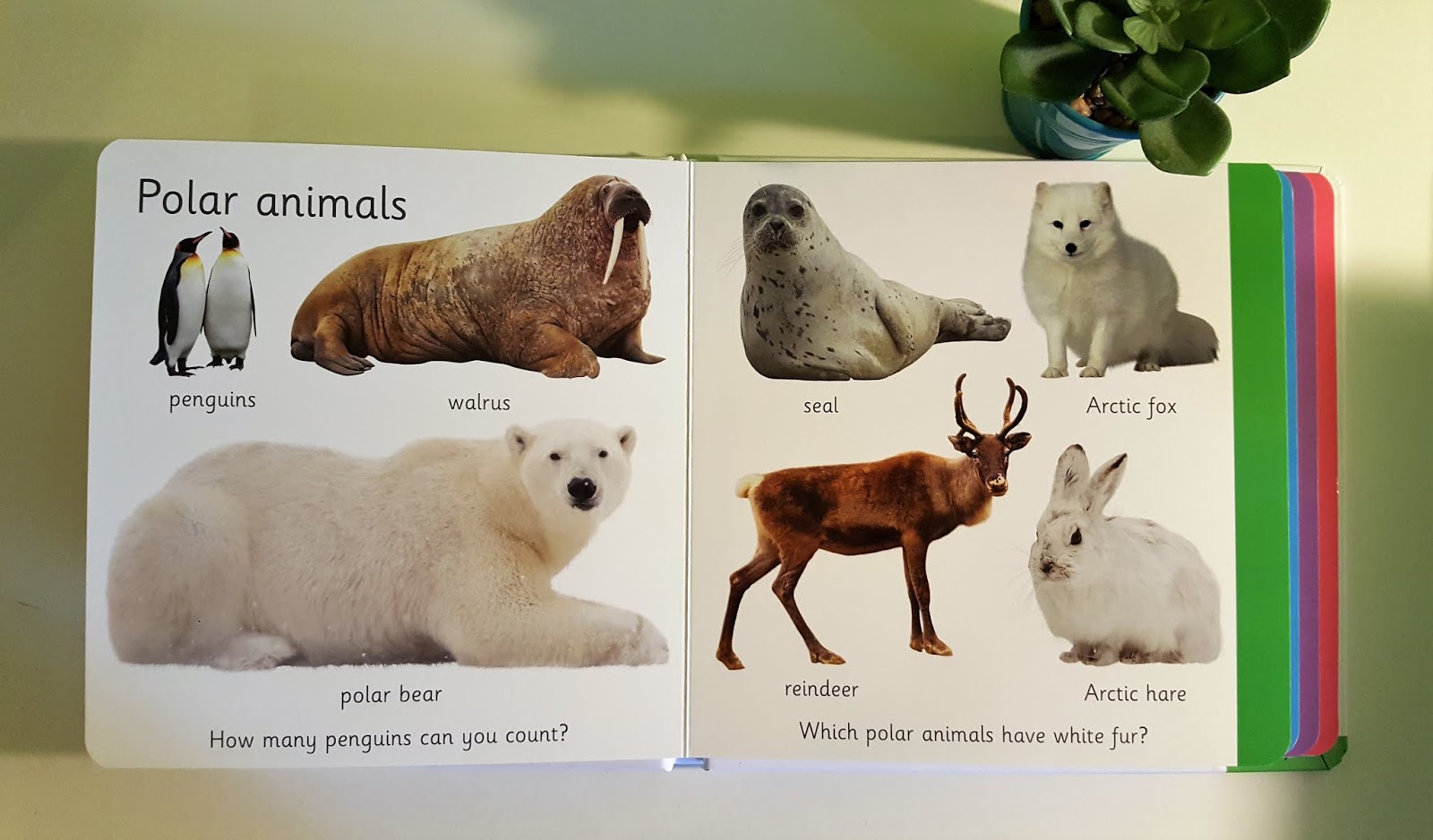 Supermamis: Los mejores libros y cuentos infantiles para regalar