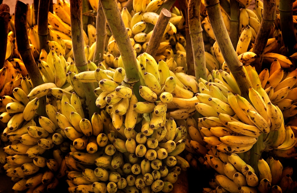 Fruity Stories: The Origins of Five Fruit Names ~ Kuriositas