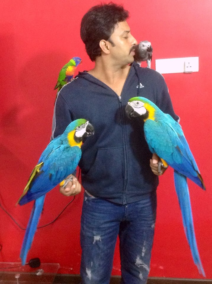 Anand Rama Raju ( Actor ) : Anand Ramraju