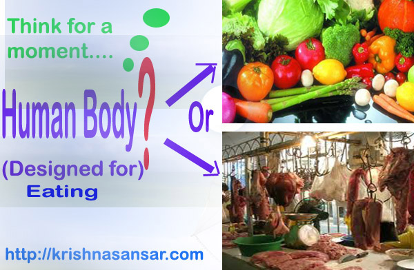 Human Body is not designed to eat Meat