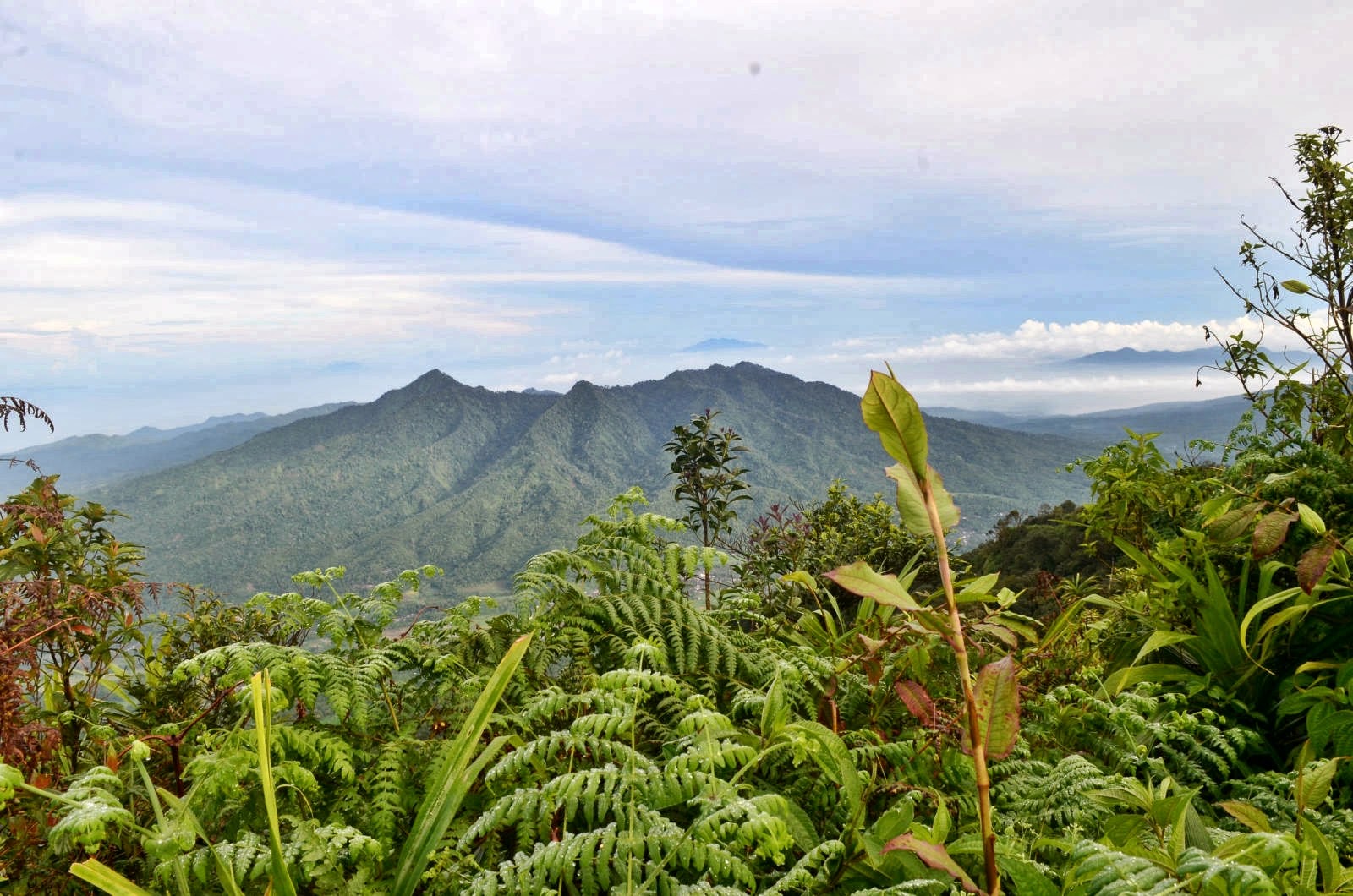 sejarah pandeglang : Pendakian Gunung Pulosari-Banten