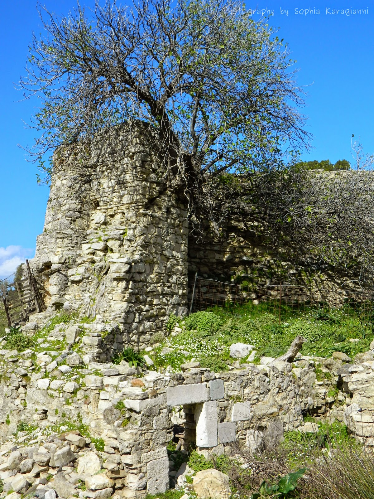 Kos and the Dodecanese through my eyes-Η Κως και τα γύρω νησιά μέσα από ...