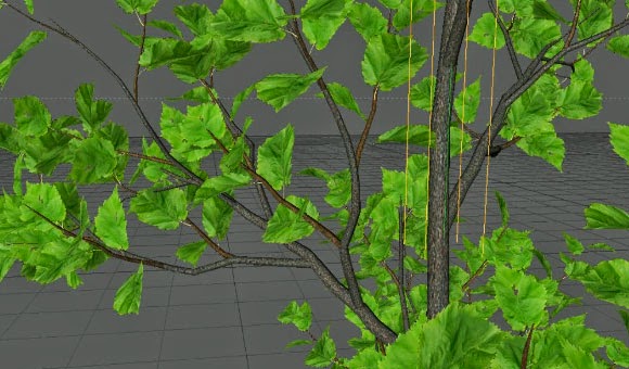 Cinema 4D – Animating Tree Growth using Xfrog Tutorial - keywords HERE