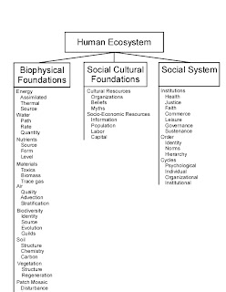 BES Urban Lexicon: Human Ecosystem Framework