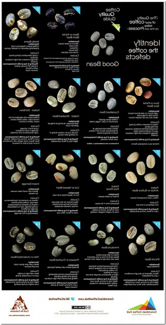 green coffee defects | Kitchen & Dining