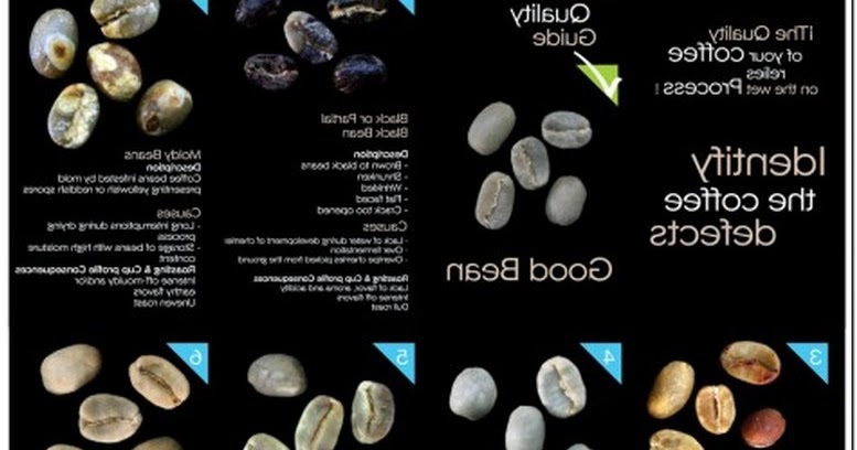 green coffee defects | Kitchen & Dining