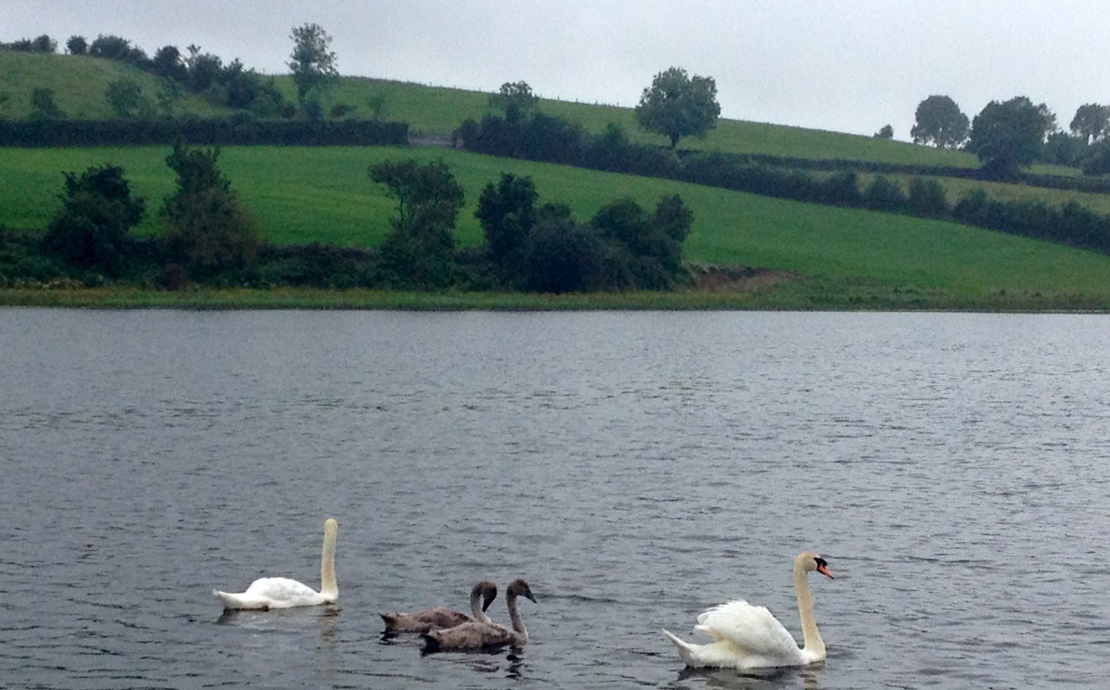 Speedie's Blog: From the Land Wars to the Civil War: A Brief History of ...