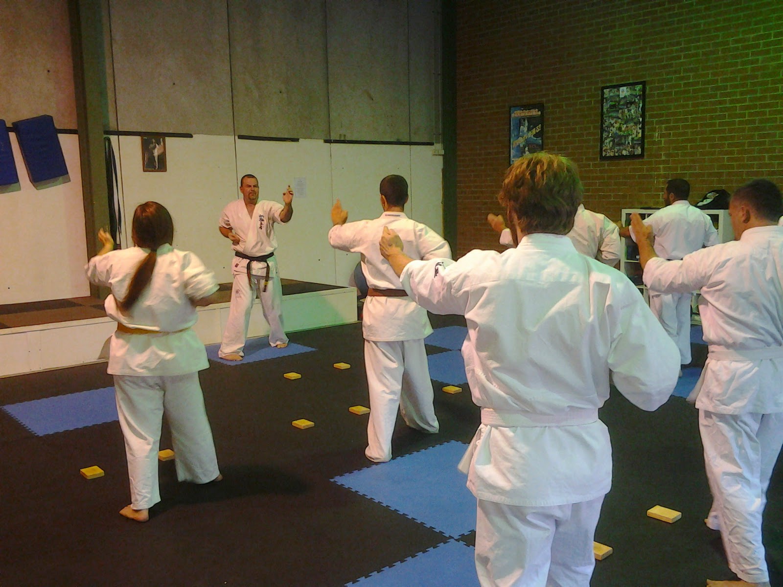 Shinkyokushin Karate Dojo Kaiten at Chloe Chauvel blog