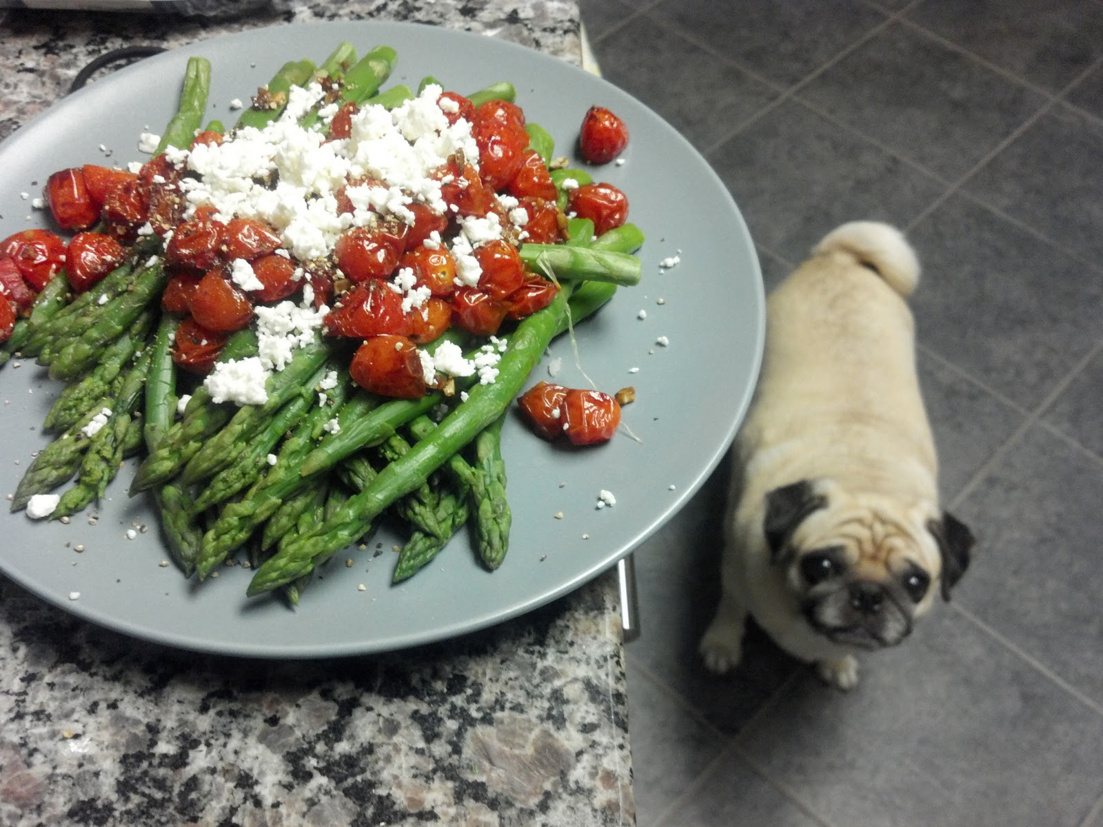 Lil Smug Pug: Food and Pug - What More Could I Ask For?