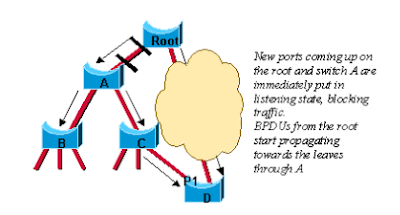 Networking And Scripting : STP Vs RSTP