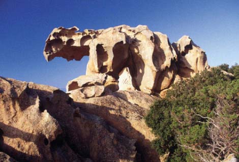 Benessere del Personale: Soggiorni militari: Base logistica di Palau ...