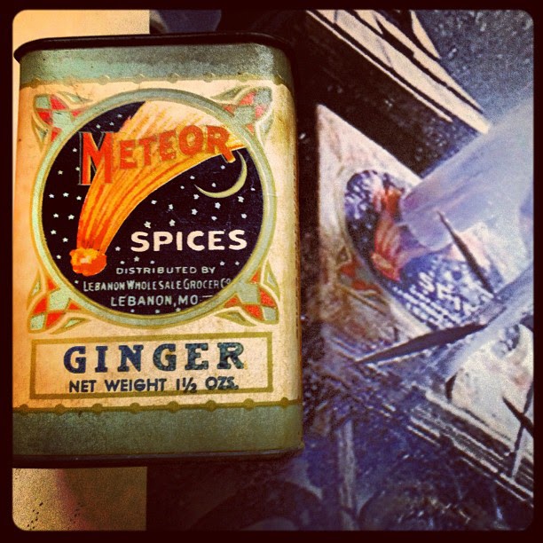 Neato Coolville: METEOR SPICE TIN CO-STARS IN THE MOVIE RANGO