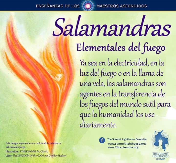 Planeta Ascensión: Elementales de la Naturaleza