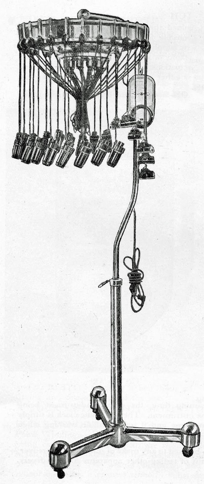 Living in the Past: Daisy Lee Shields, the beautician