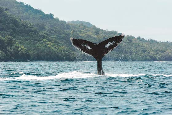 COLOMBIA TOURISM and The Caribbean Ocean, a paradise in the world ...