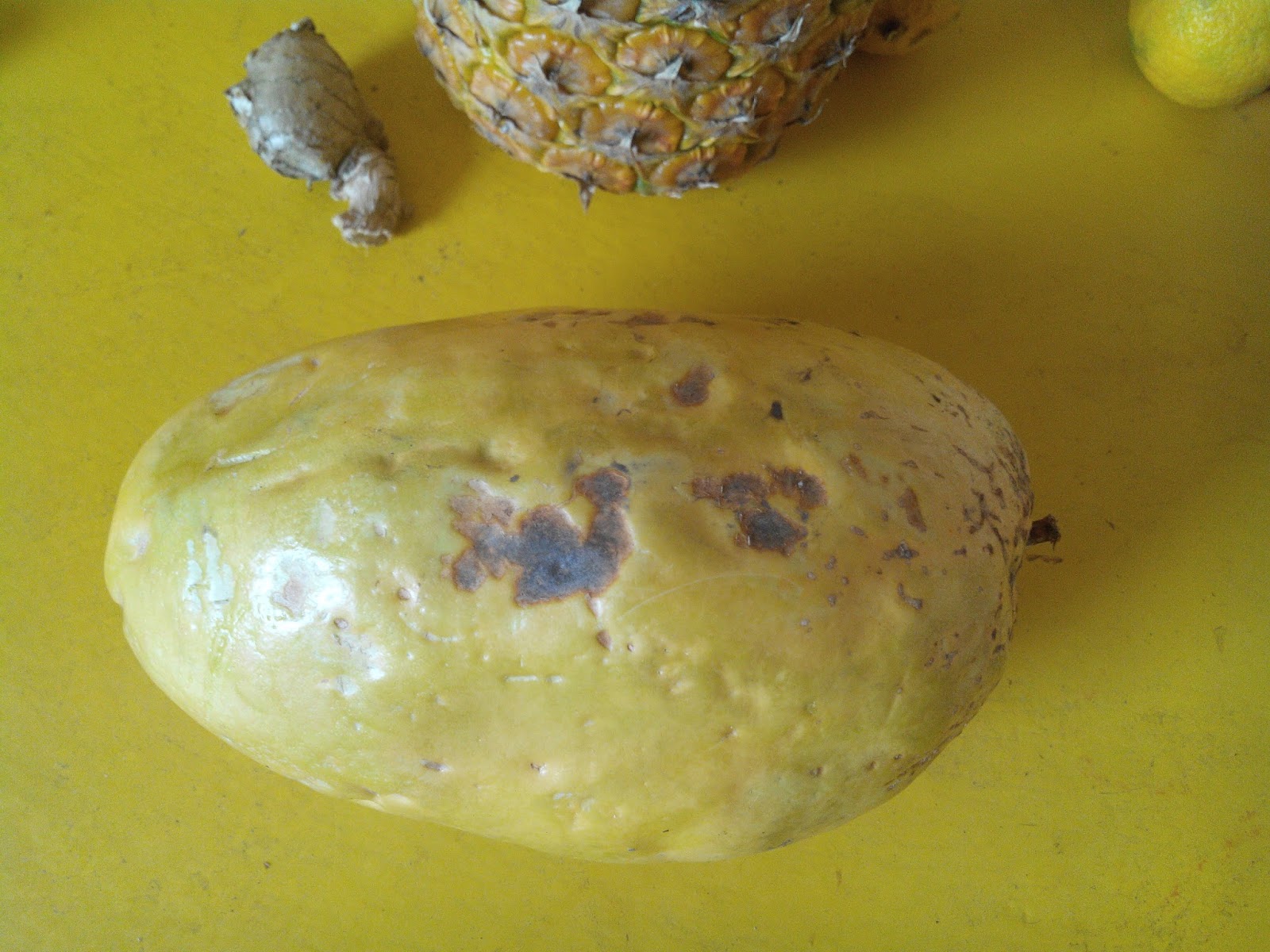 ludisa en ecuador: LES FRUITS #1 : LA "BADEA"