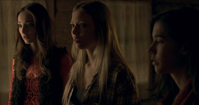 LIVINGDEAD: The Body Tree 2017