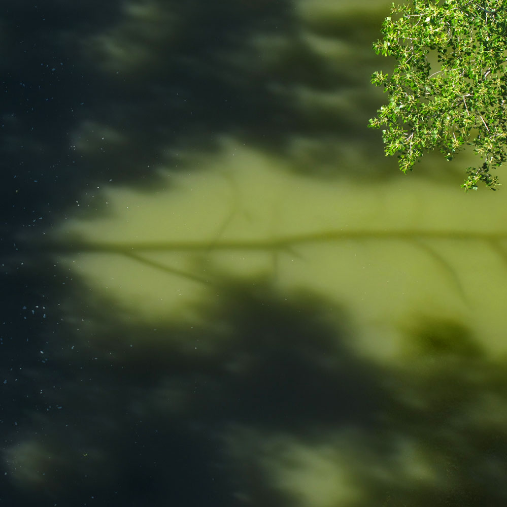 Steven D. Foster ~ Photographs : The Departing Landscape website ...