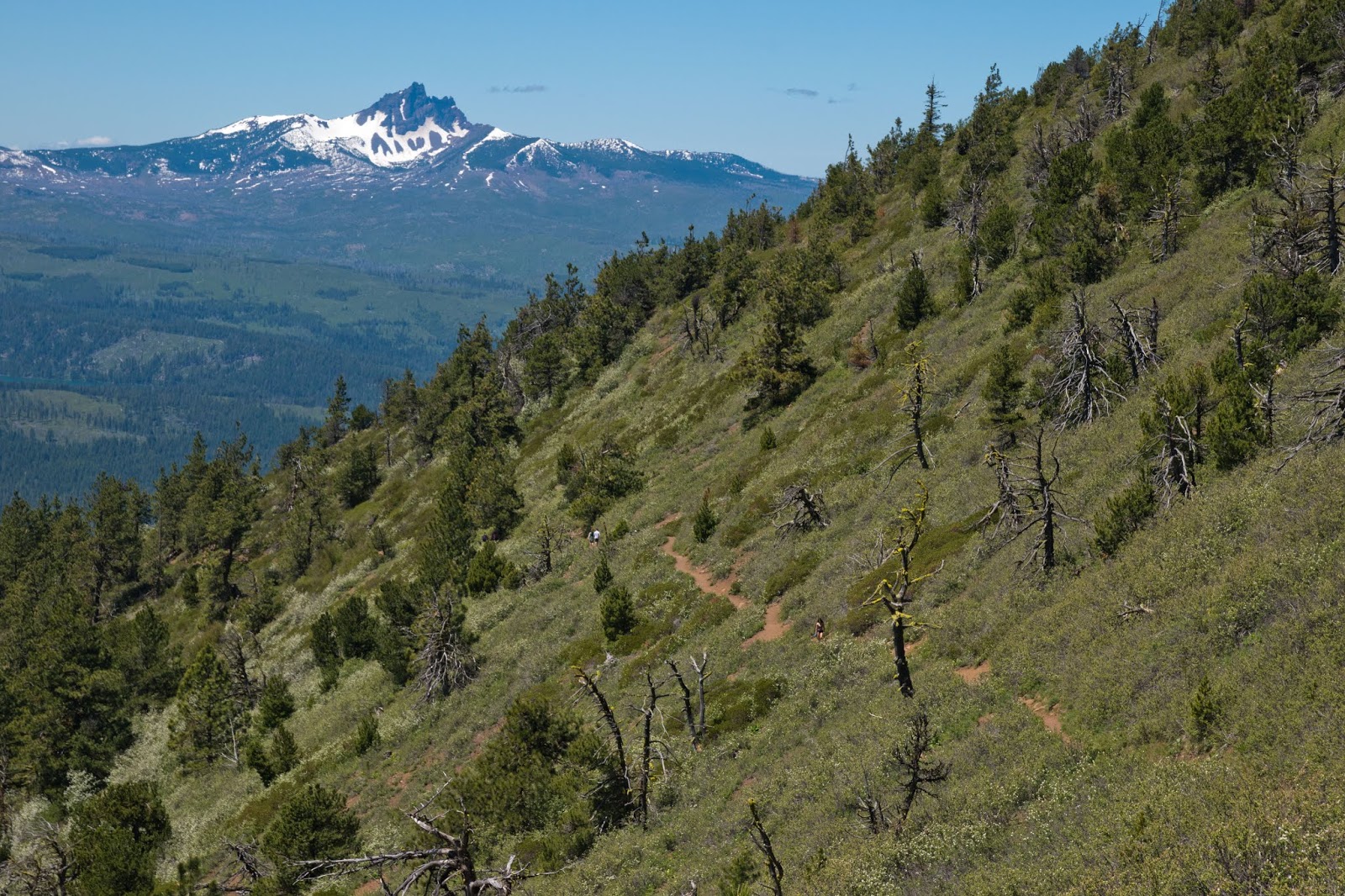 Hiking Shenandoah: Black Butte (Oregon)