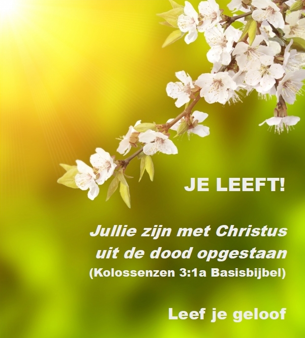 Leef je geloof: Met Christus opstaan