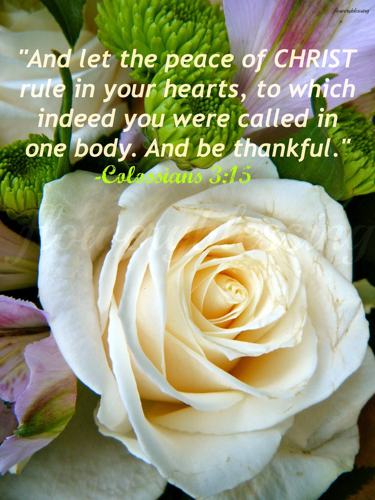 Flowery Blessing: "'And let the peace of CHRIST rule in your hearts, to ...